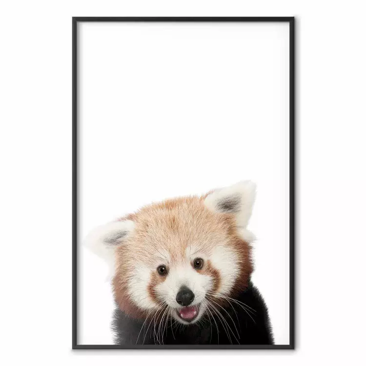 Poster da parete Panda giovane - animale allegro su sfondo bianco ...