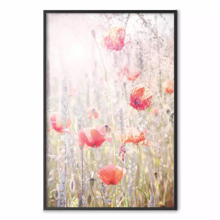 Poster per pareti Prato estivo - papaveri rossi tra fiori colorati ...