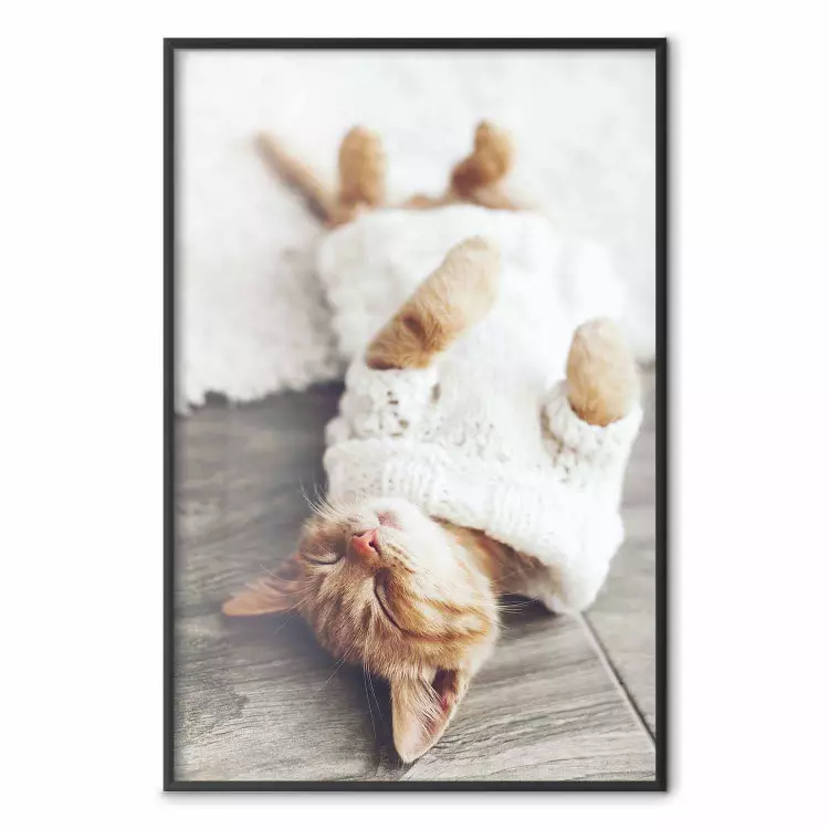 Poster Gatto pigro - animale marrone in maglione bianco su pavimento di ...