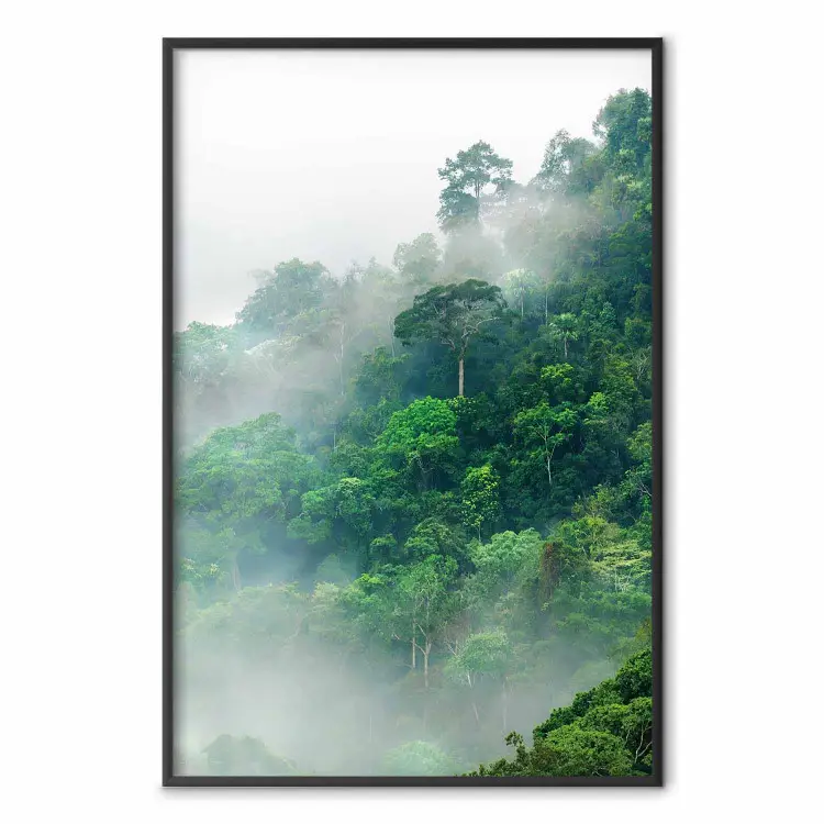 Poster da parete Foresta lussureggiante - Poster - bimago