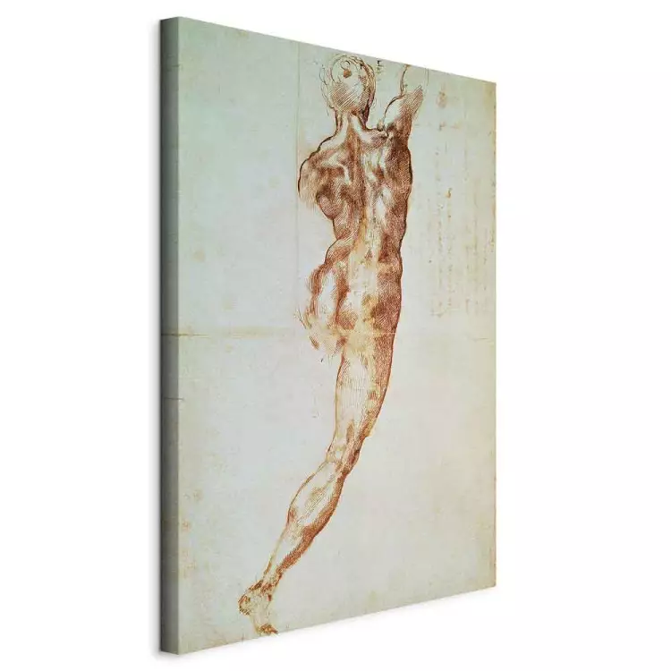 Riproduzione Michelangelo - Nudo, studio per la battaglia di Cascina - Michelangelo - bimago