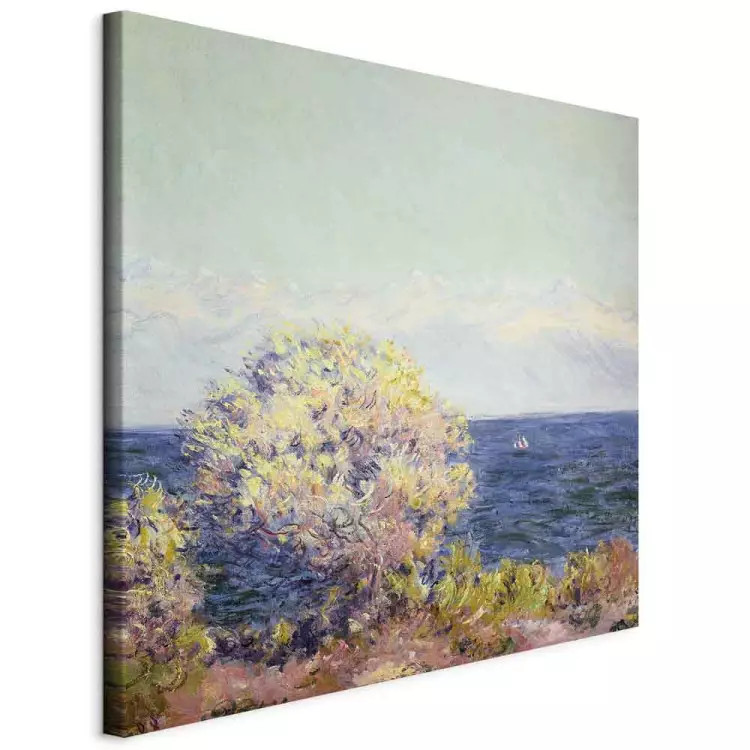 Quadro famoso Claude Monet - Cap d'Antibes in Mistral - Claude Monet - bimago