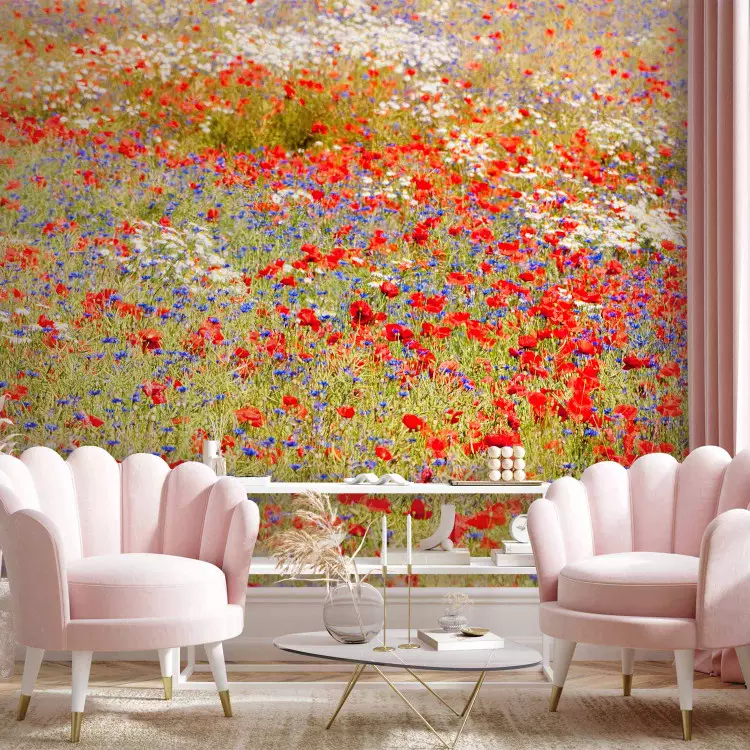 Carta da parati moderna Prato di papaveri e camomilla... - paesaggio ...