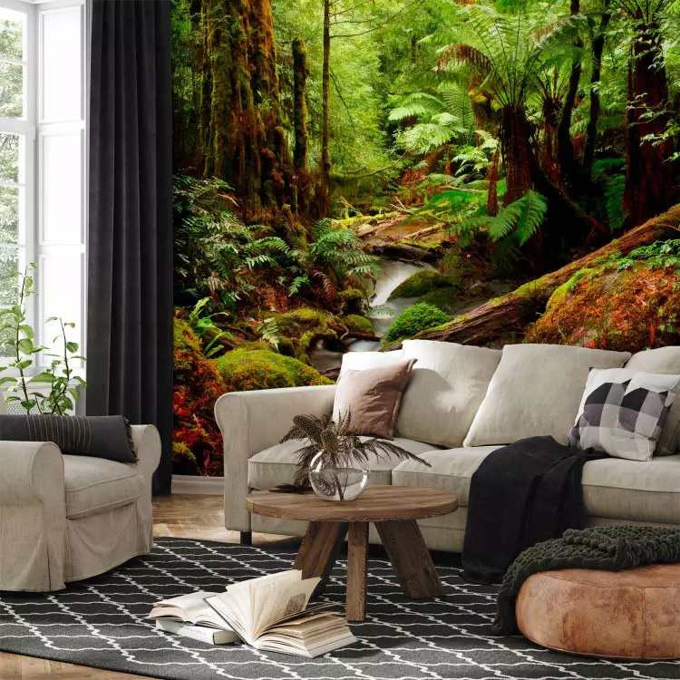Carta da parati moderna Foresta equatoriale - Bosco - bimago