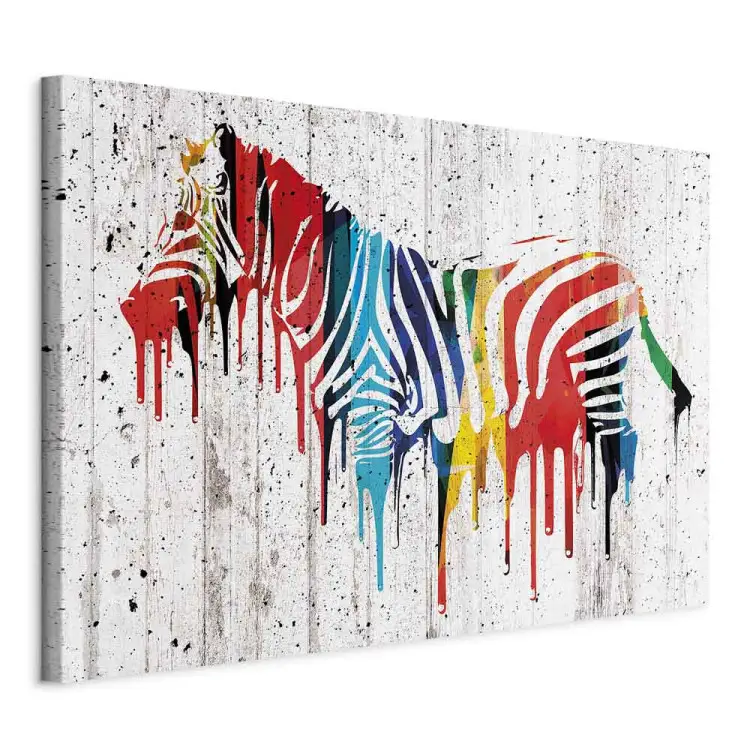 Quadro su tela Zebra colorata - Zebre - bimago