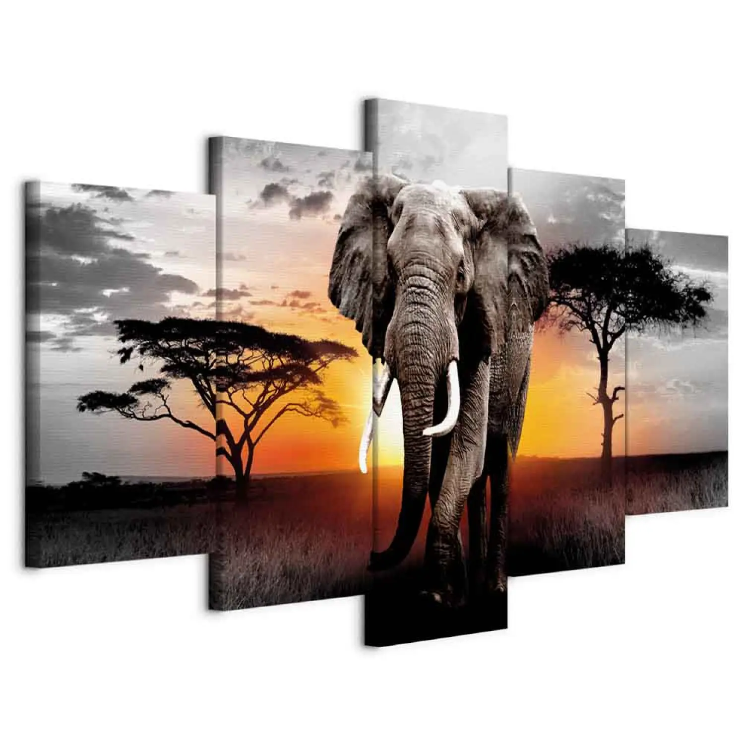 Tramonto Elefante